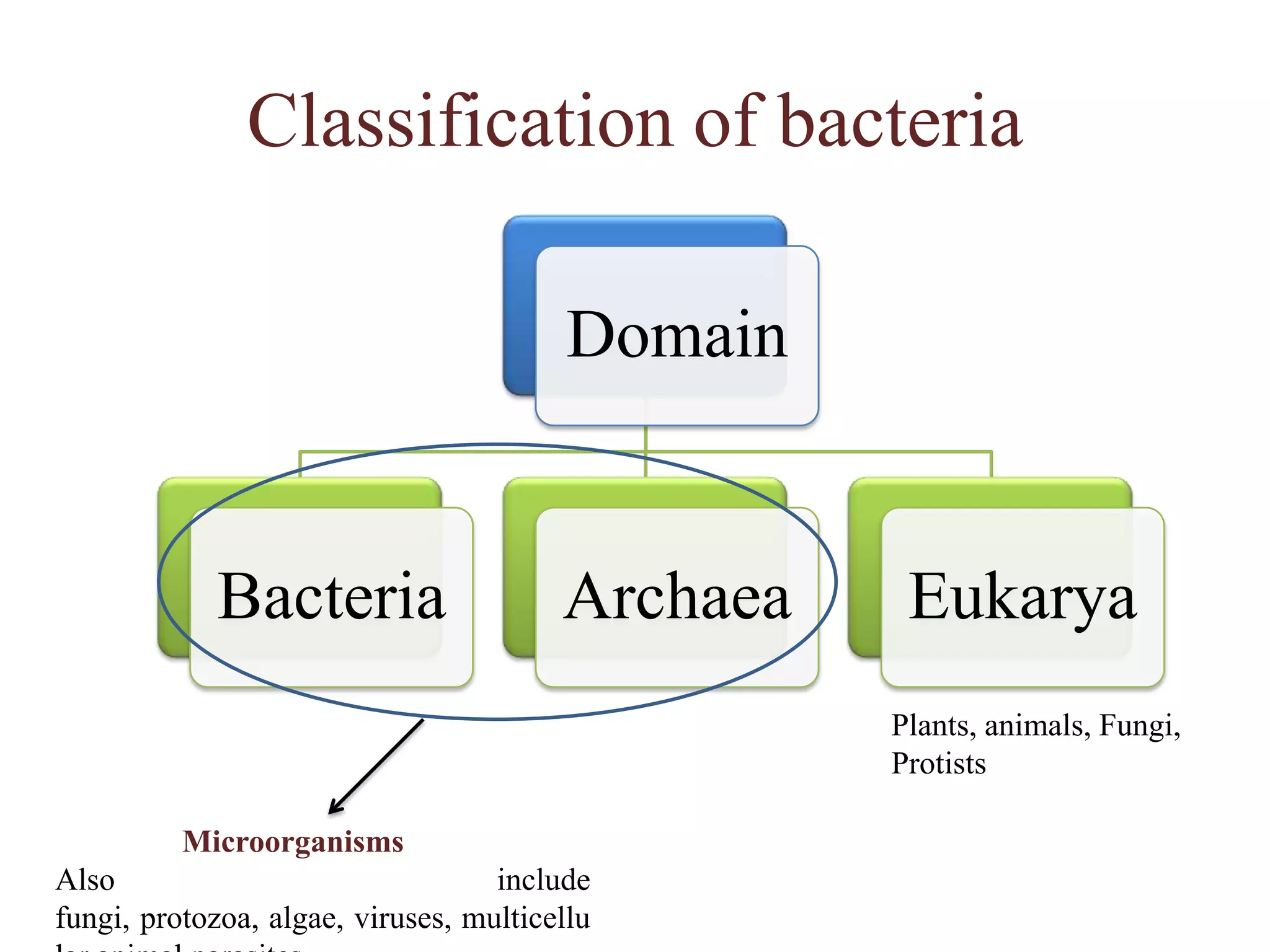 1 introduction to microbiology | PPTX