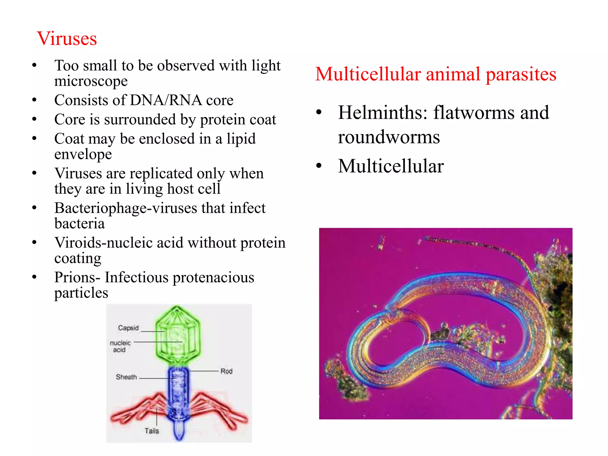 1 introduction to microbiology | PPTX