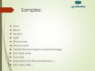 1-Introduction to Microbiology Course Basics | PDF