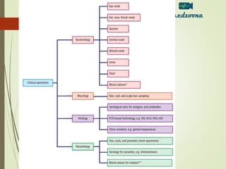 1-Introduction to Microbiology Course Basics | PDF