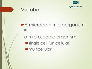 1-Introduction to Microbiology Course Basics | PDF