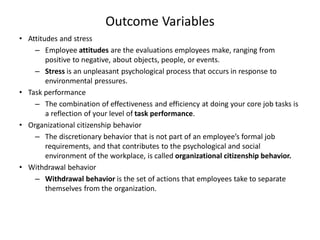 1 - Introduction to Organizational Behavior | PPT