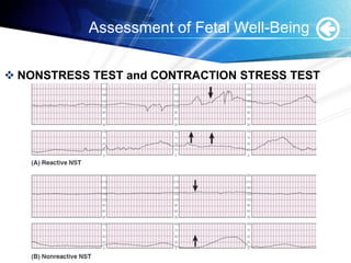 1. Introduction to obstetrics | PPTX