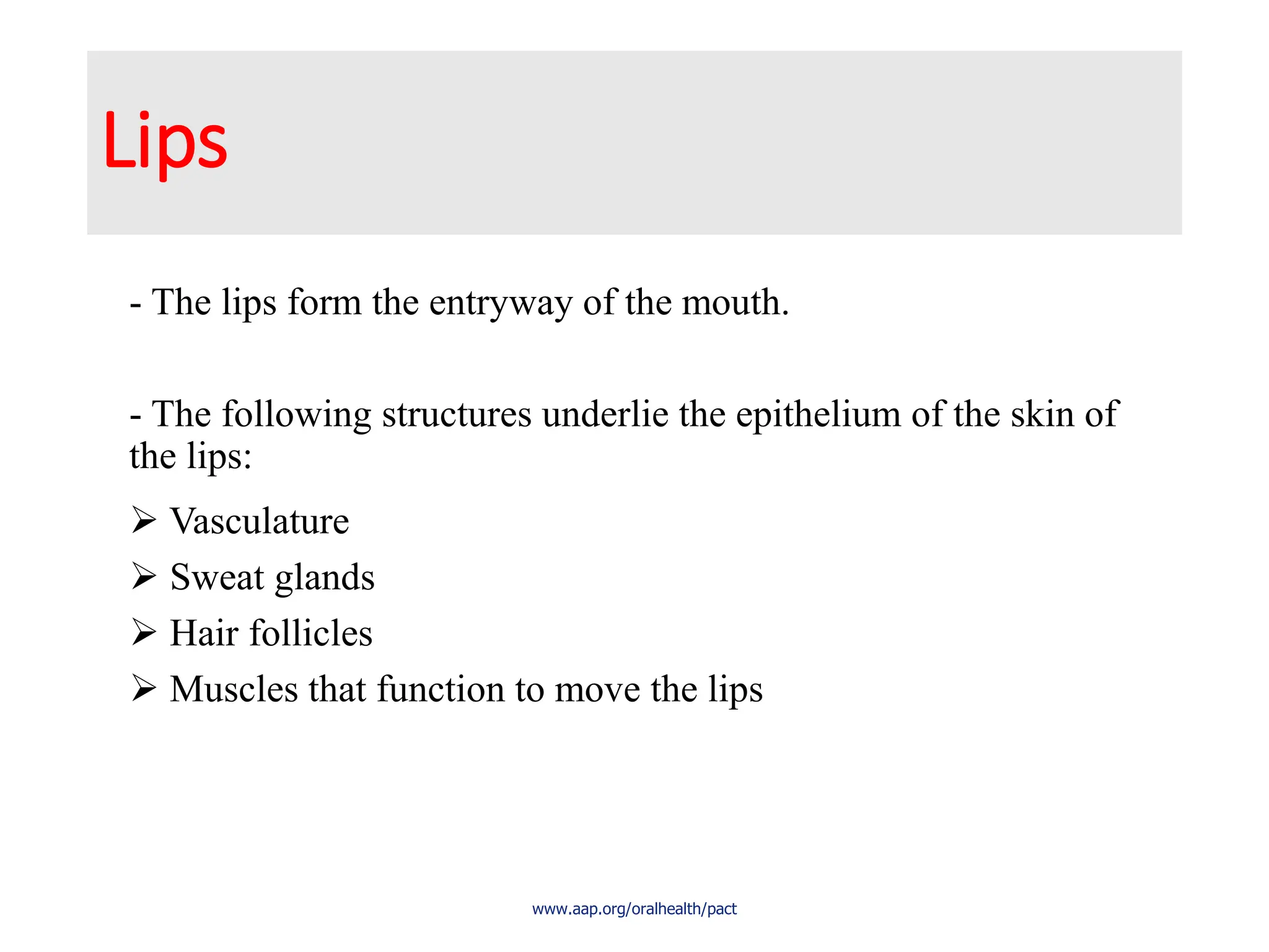 1- introduction to oral & dental health.pdf