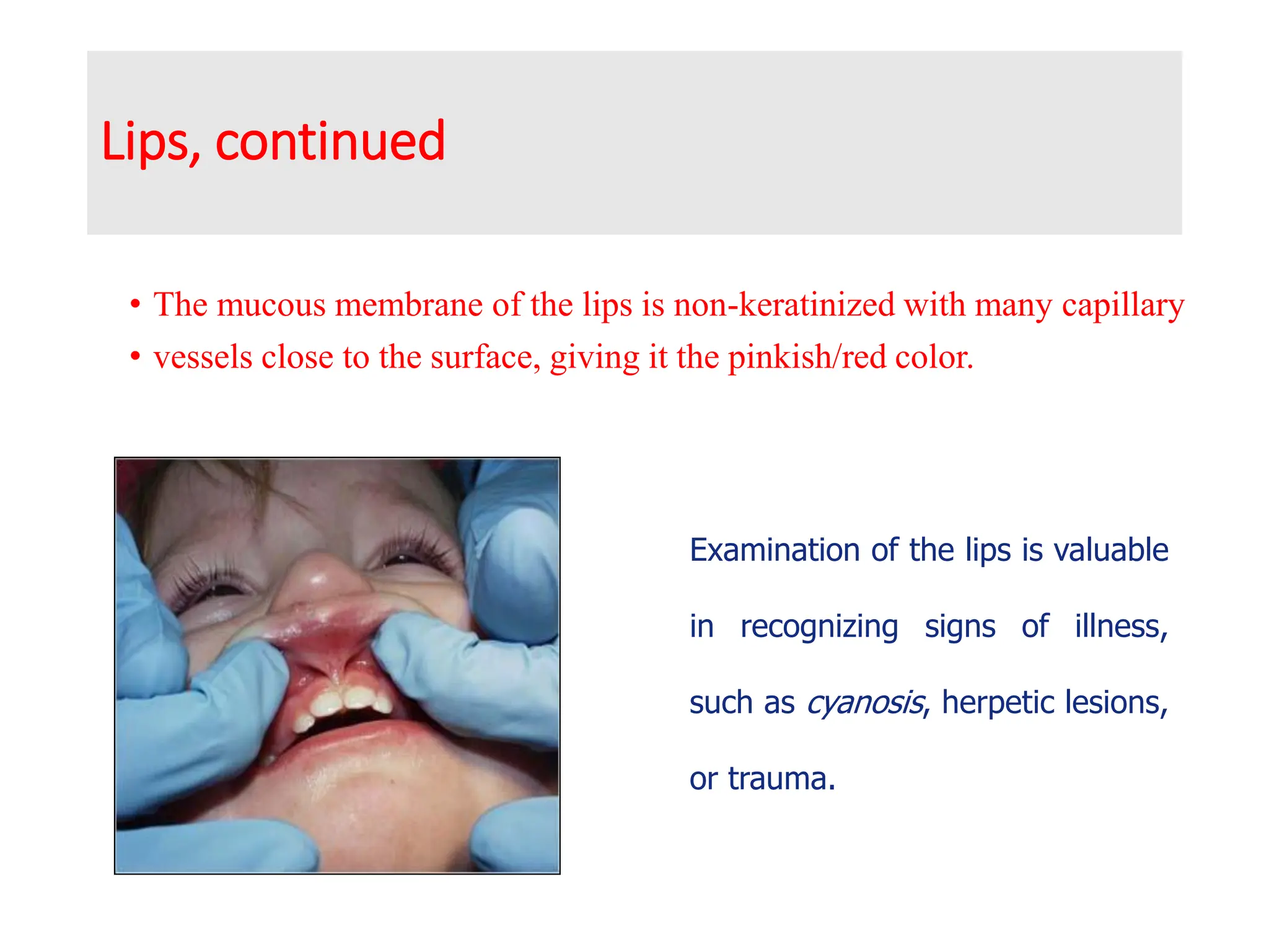 1- introduction to oral & dental health.pdf