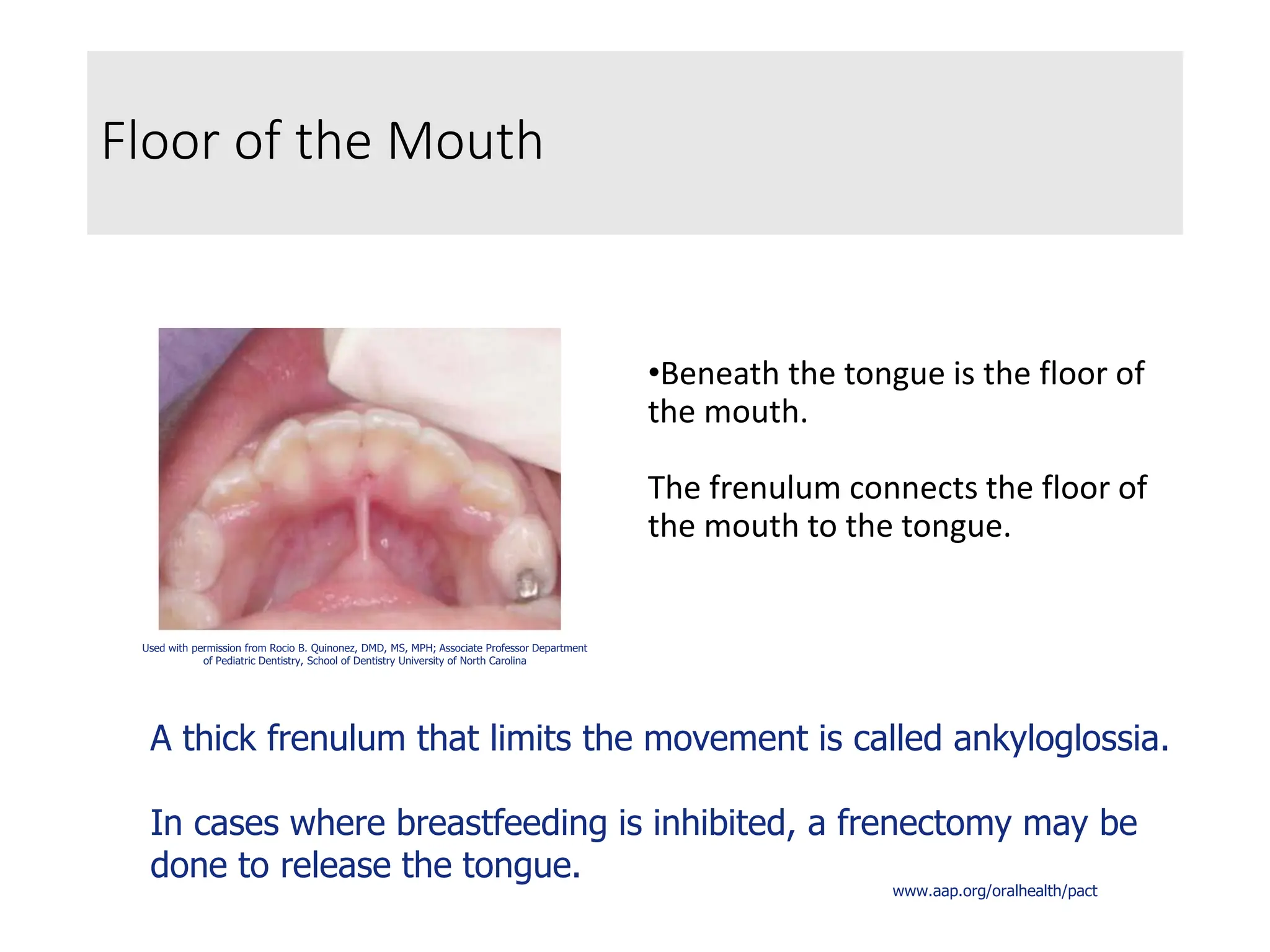 1- introduction to oral & dental health.pdf