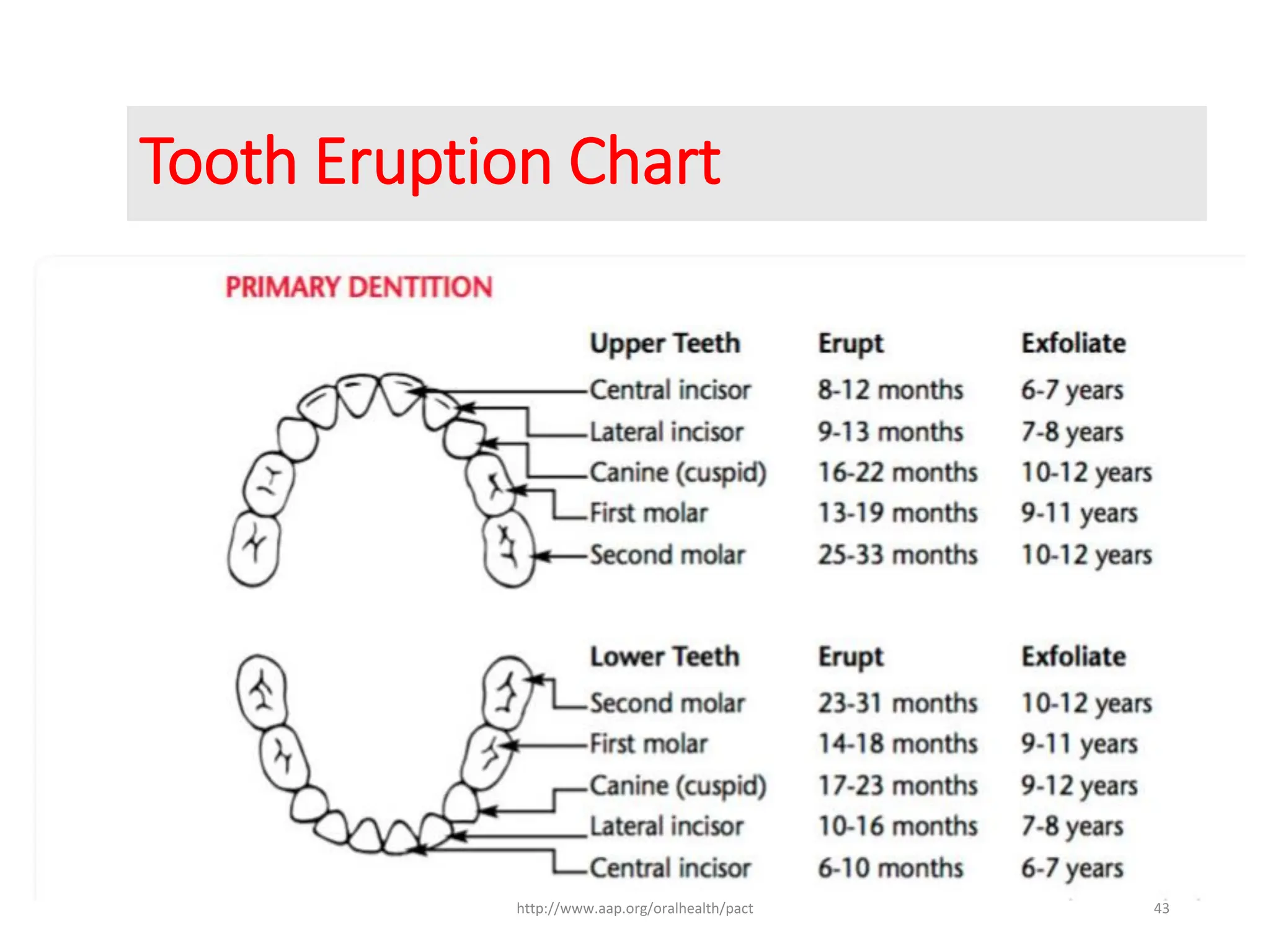 1- introduction to oral & dental health.pdf