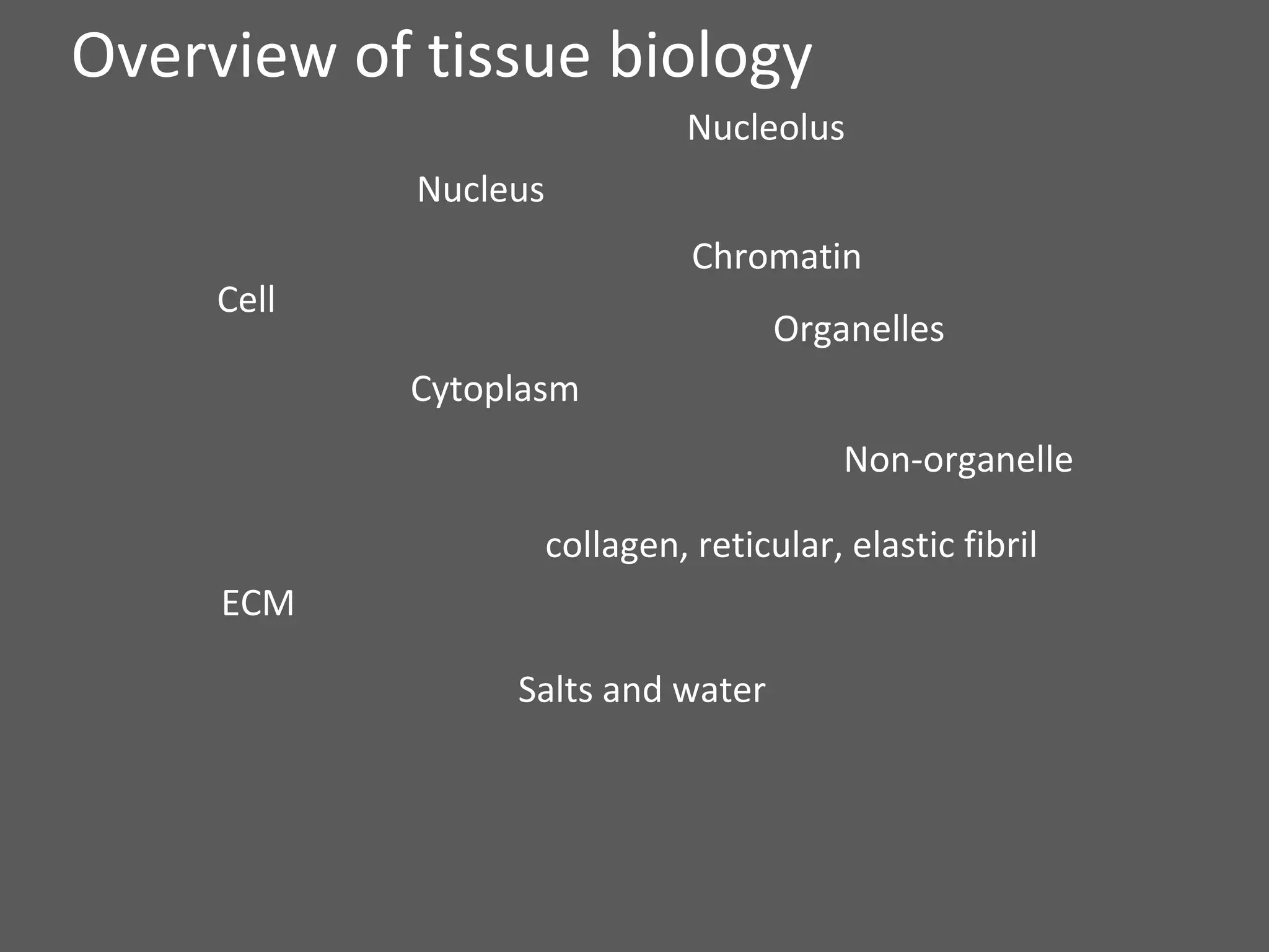 1-Intro Histochemistry.pdf