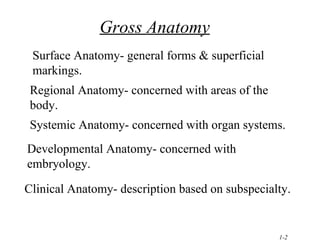 ushas anatomy notes | PPT