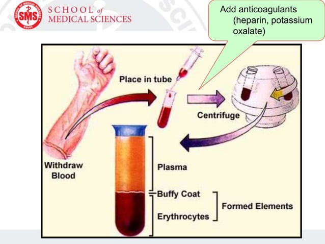 1-Intro to Chemical Pathology-1.pptx | Blood Disorders | Diseases and ...