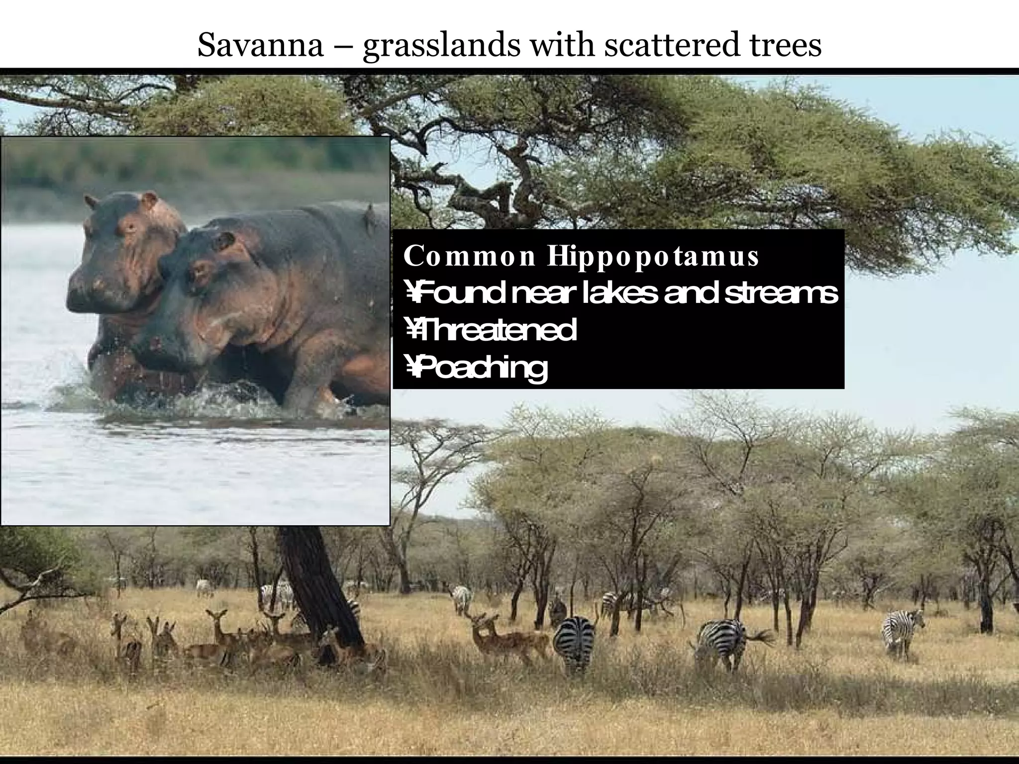 Intro To Ecology And Biomes | PPT | Free Download