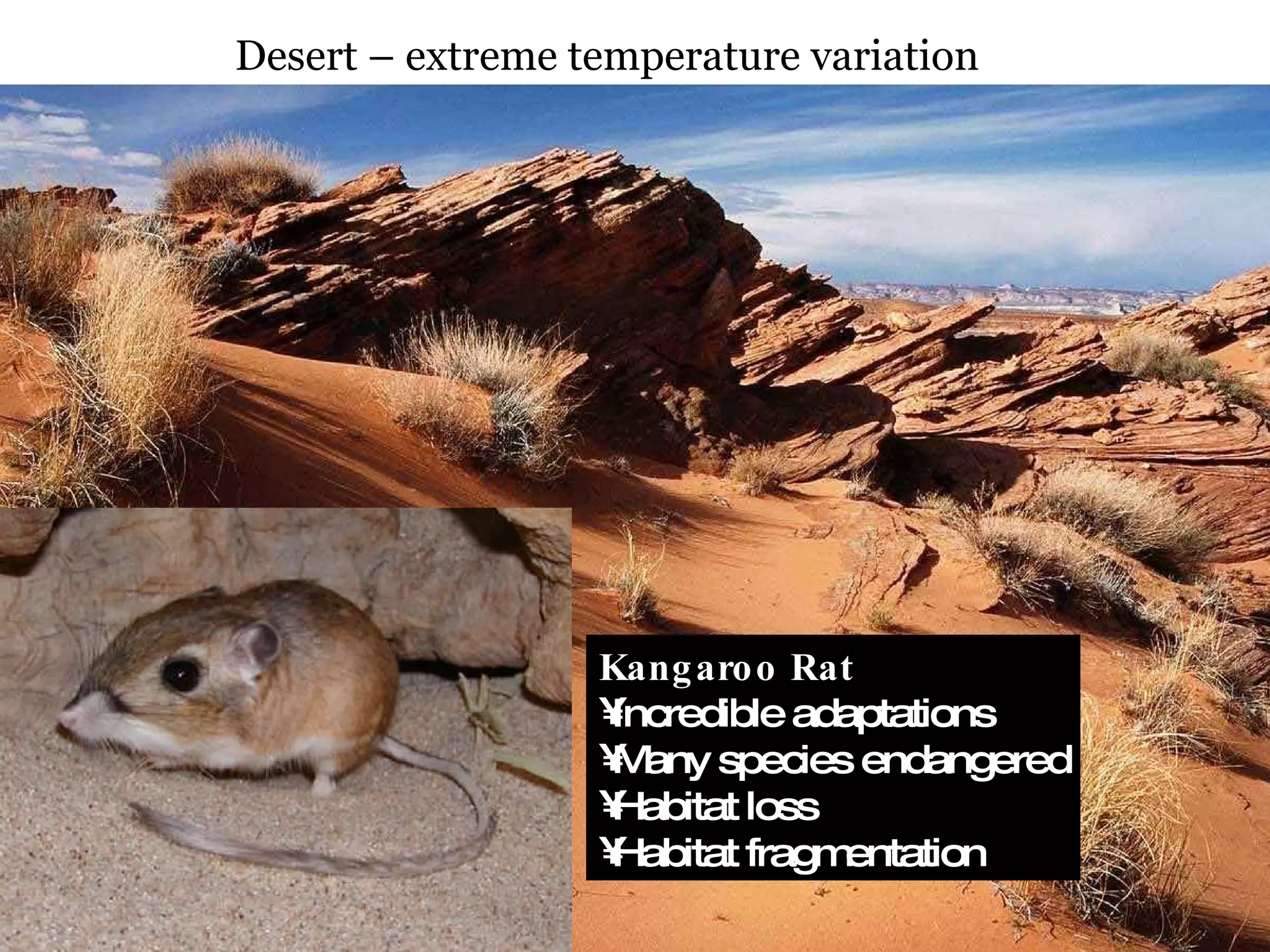 Intro To Ecology And Biomes | PPT | Free Download