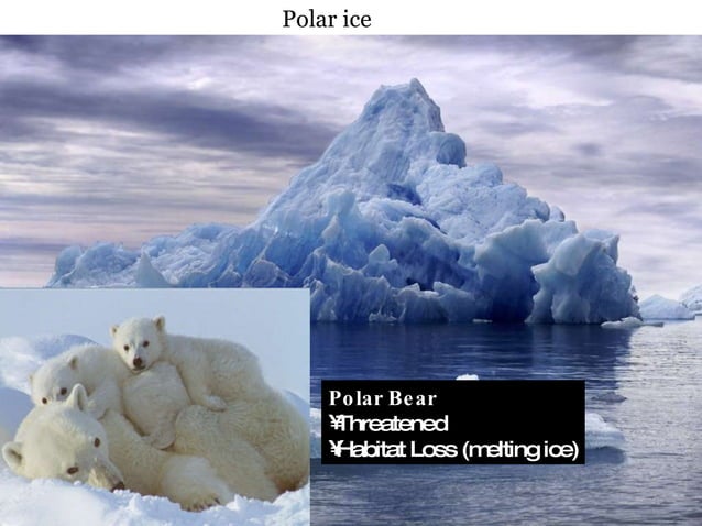 Intro To Ecology And Biomes | PPT | Free Download