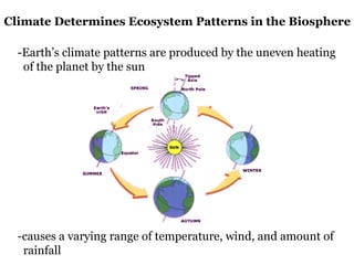 Intro To Ecology And Biomes | PPT