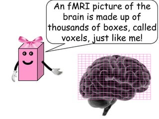 fMRI terms: HRF and BOLD | PDF | Blood Disorders | Diseases and Conditions