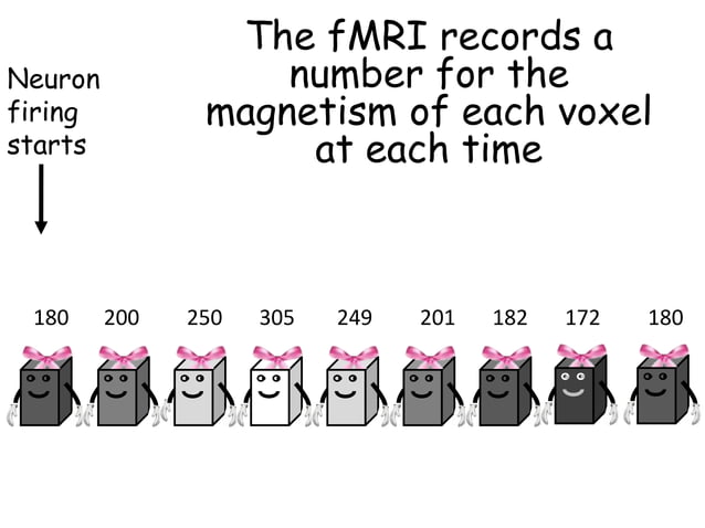 fMRI terms: HRF and BOLD | PDF | Blood Disorders | Diseases and Conditions
