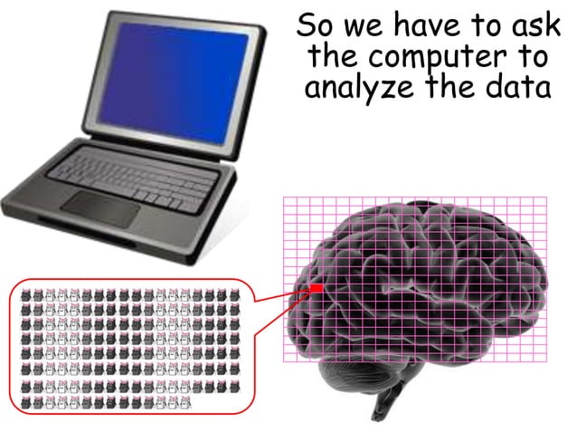 fMRI terms: HRF and BOLD | PDF | Blood Disorders | Diseases and Conditions