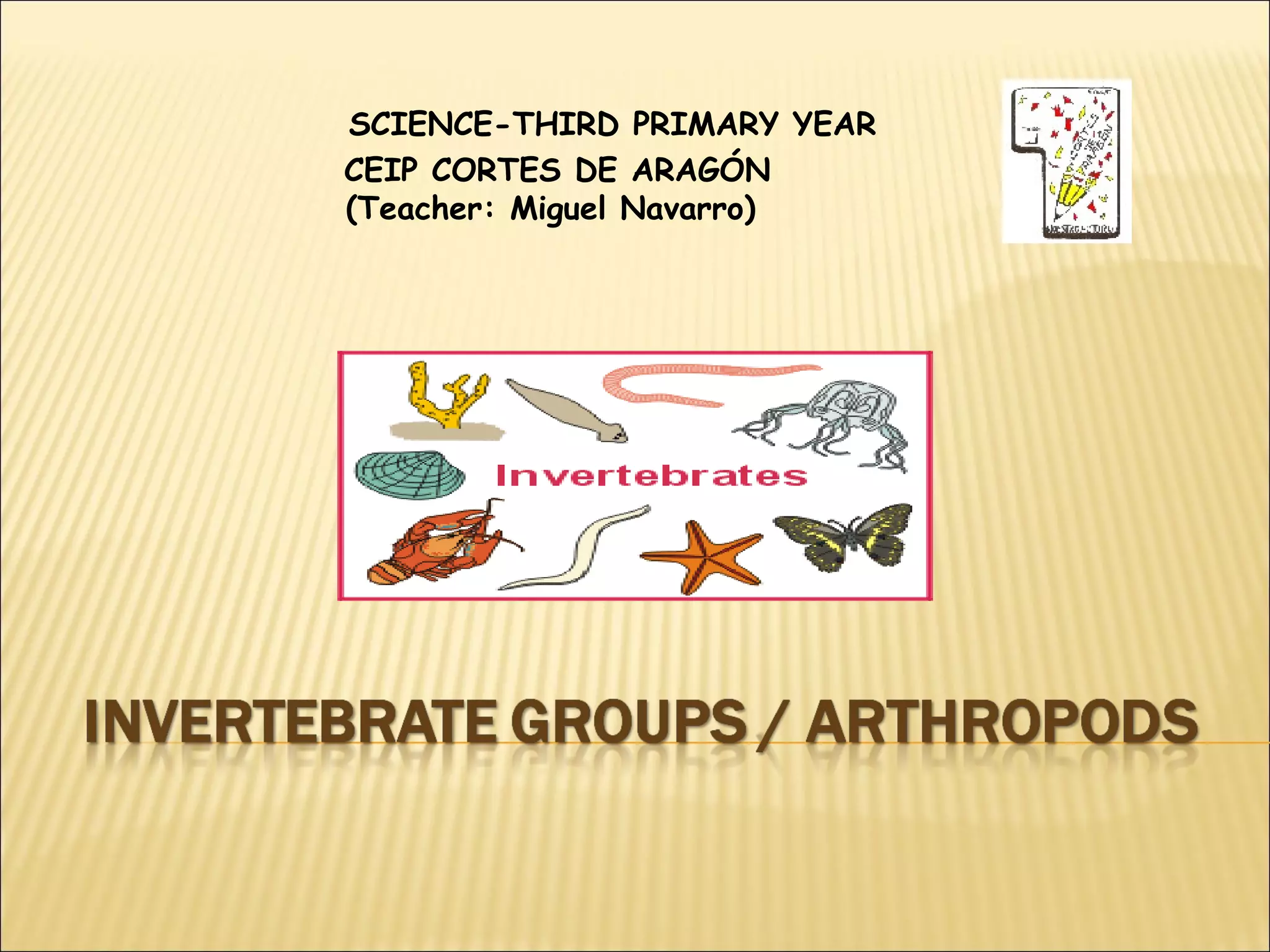 invertebrate groups | PPT