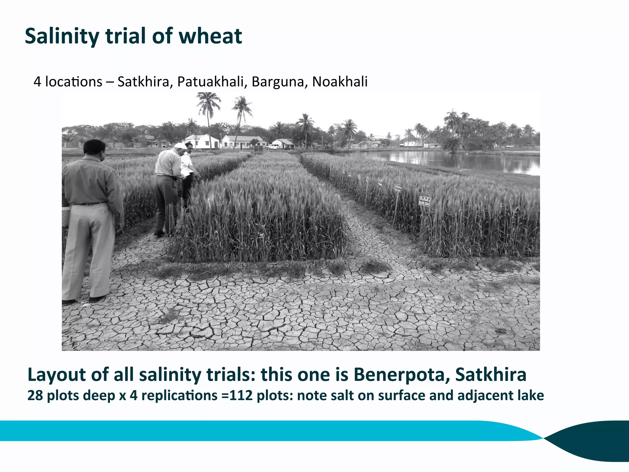 Water resources in the coastal zone of Bangladesh: constraints or ...