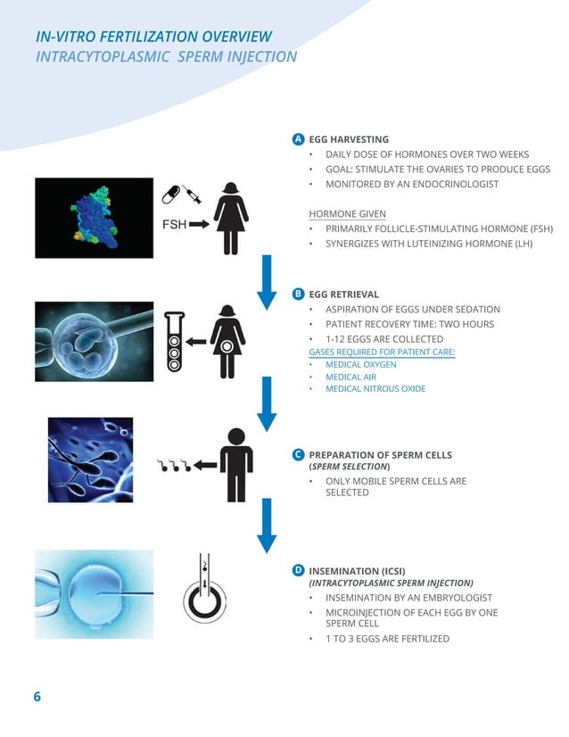 1 - IVF_Catalog_RevAug2016_LR.pdf