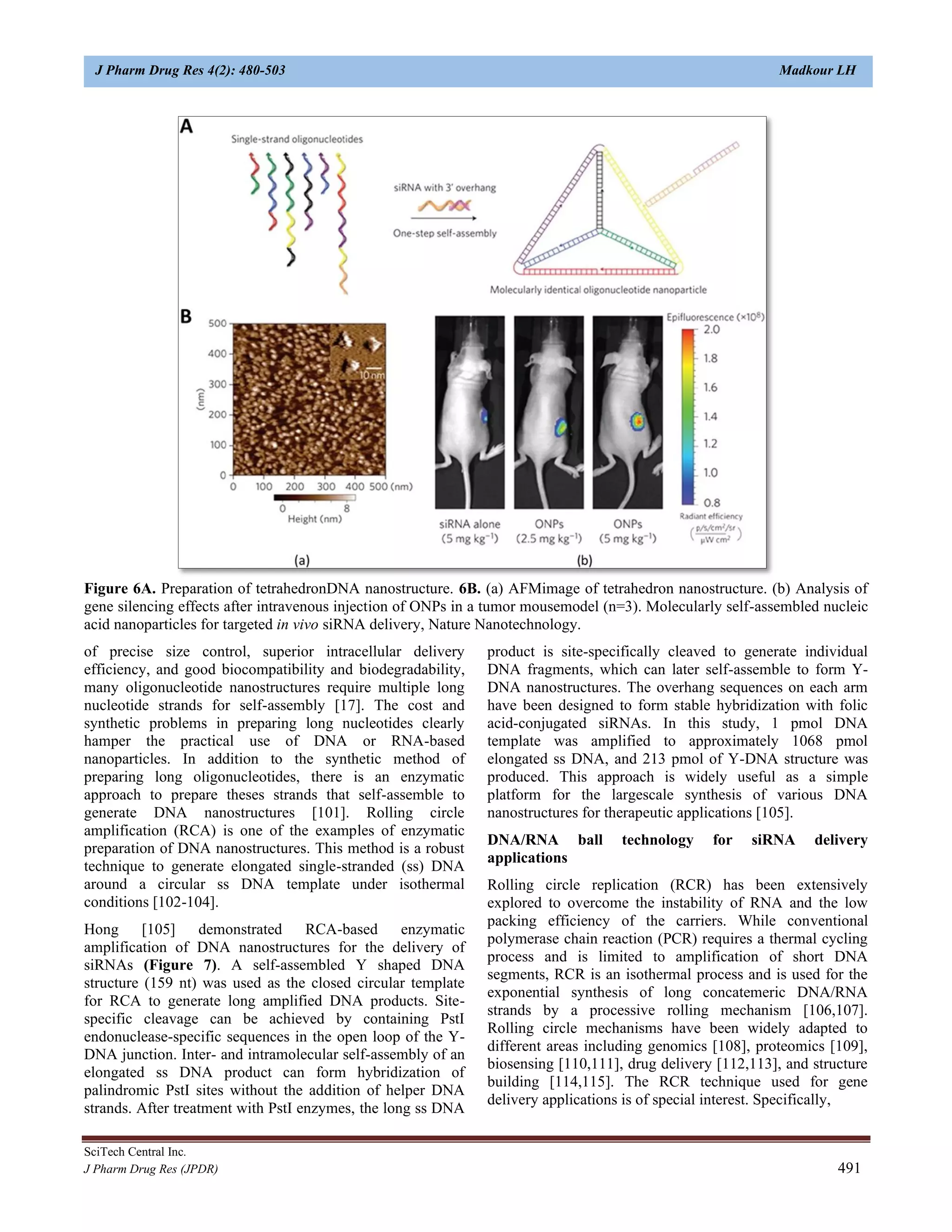 Nucleic Acids (DNA/RNA) as Nanoparticles Structures for siRNA Delivery ...