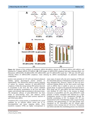 Nucleic Acids (DNA/RNA) as Nanoparticles Structures for siRNA Delivery ...