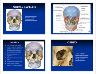 1 kafaiskeletibutunu-dis-3-2015 | PDF