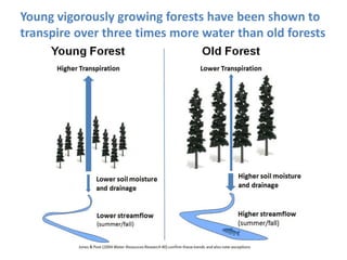 Joe Kane, Nisqually Community Forest | PPT