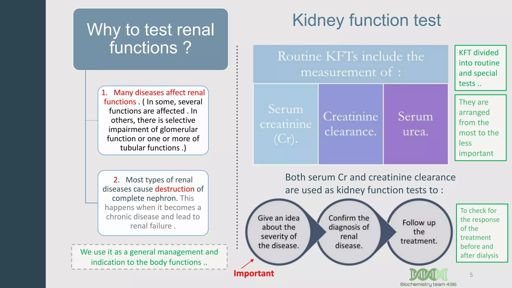 1-Kidney Function Test .pptx | Free Download