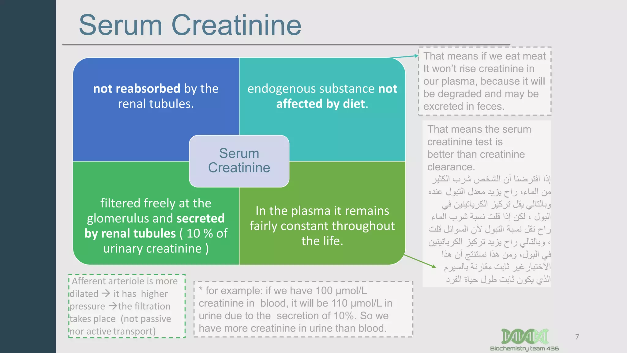 1 Kidney Function Test Pptx