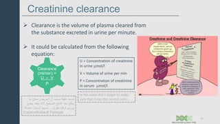 1-Kidney Function Test .pptx