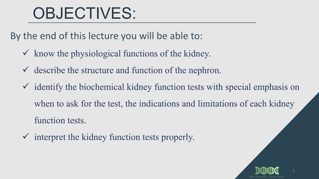 1 Kidney Function Test Pptx