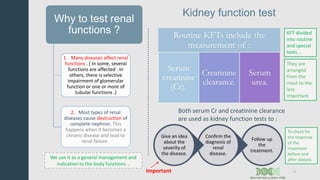 1-Kidney Function Test .pptx | Free Download