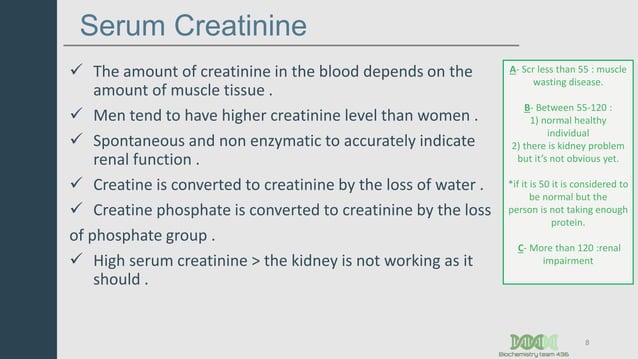 1 Kidney Function Test Pptx