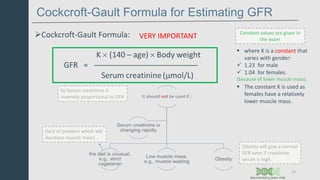 1-Kidney Function Test .pptx