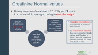 1-Kidney Function Test .pptx