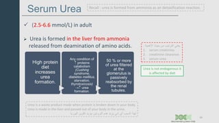 1-Kidney Function Test .pptx