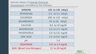 1-Kidney Function Test .pptx