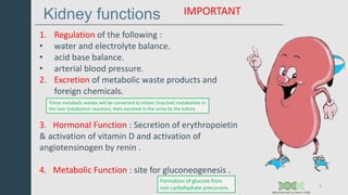 1-Kidney Function Test .pptx