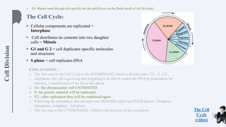 1-Klinefelter, Turner and Down Syndromes.pptx