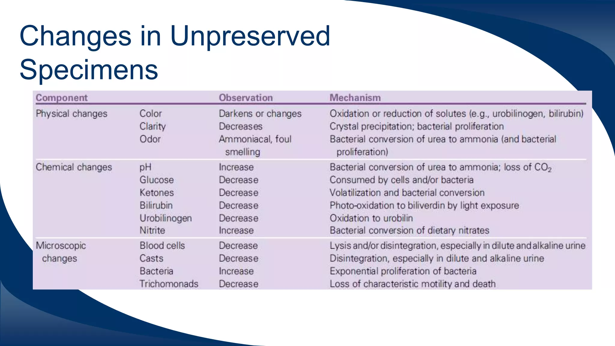 Introduction to Urinalysis.pptx