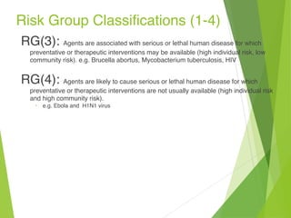 1-lab safety.pdf | Infectious Diseases | Diseases and Conditions