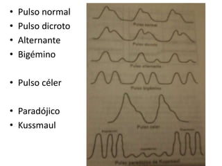 Signos Vitales | PPTX