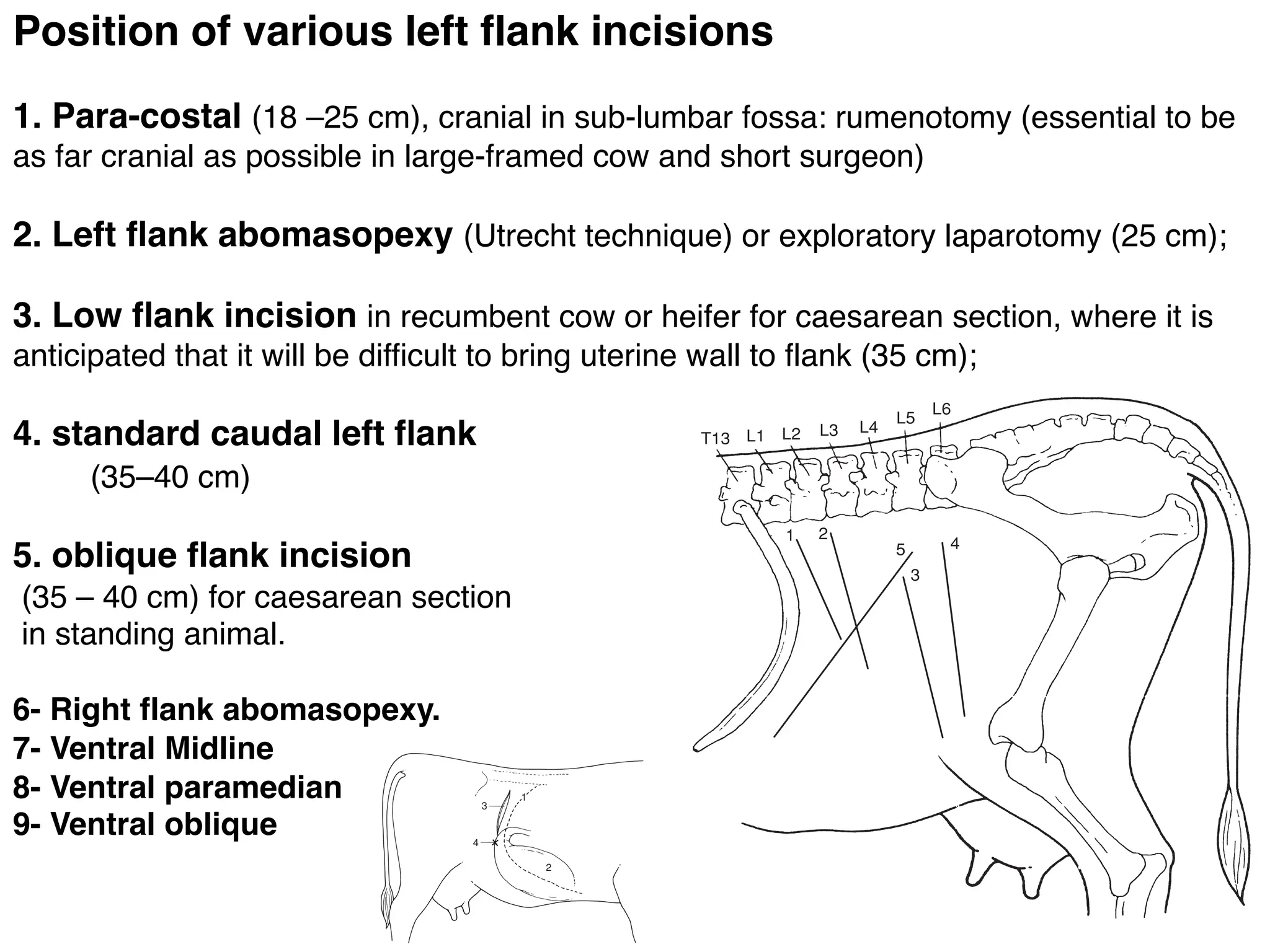 1- Laparotomy.pdf