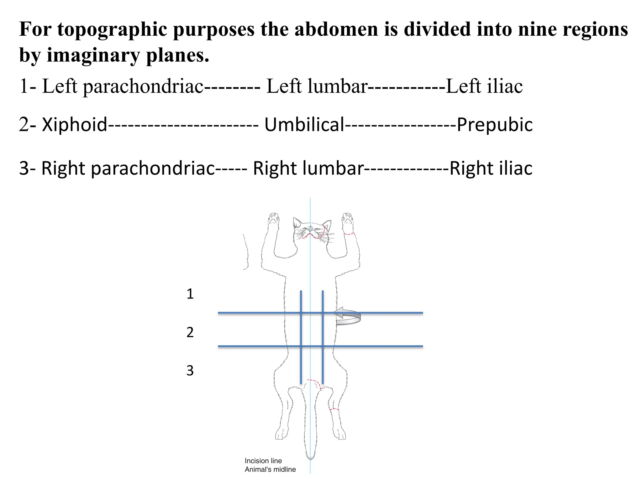 1- Laparotomy.pdf