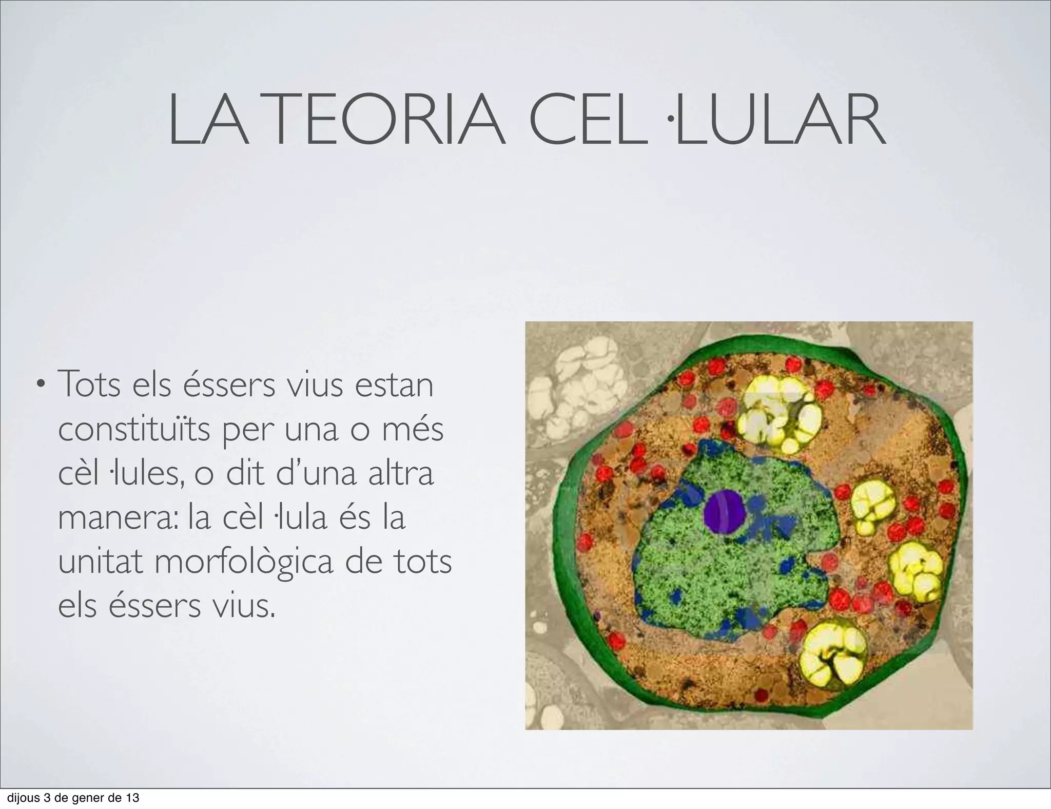 28. La teoria cel·lular | PDF
