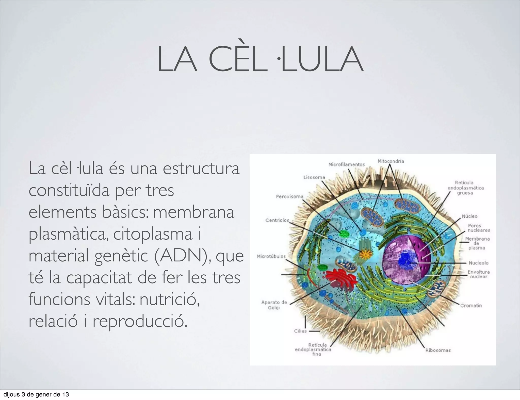 28. La teoria cel·lular | PDF