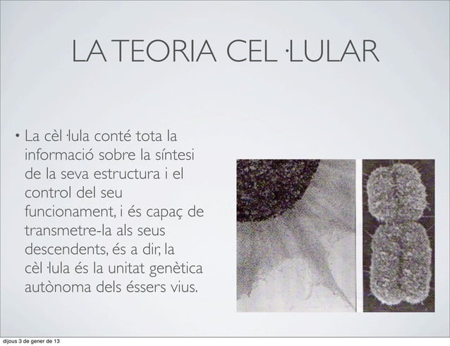 28. La teoria cel·lular | PDF