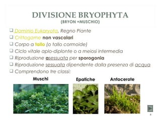 Le Briofite | PPT