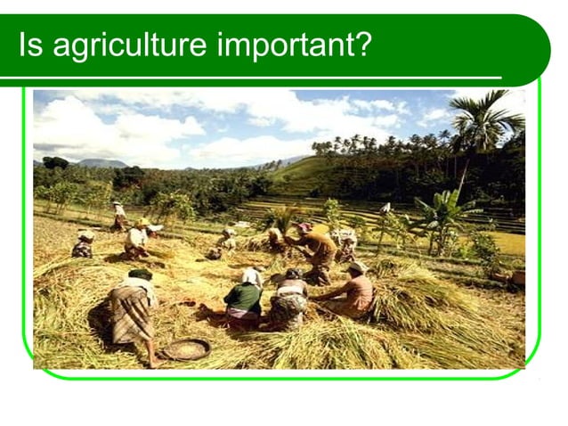 Lecture Outline in Introduction to Agriculture | PPT